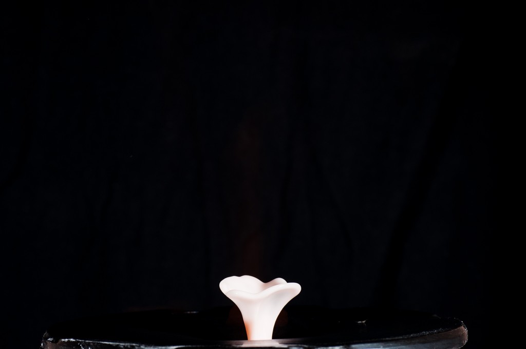 Cymatics high-speed camera photography tutorial - Photo Cherry
