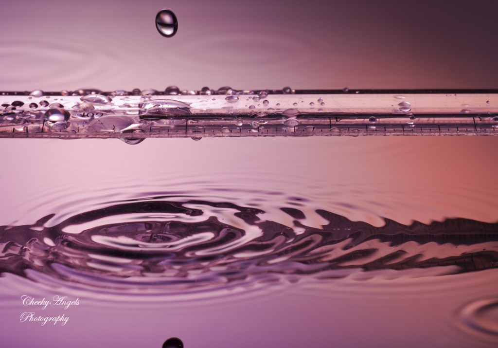 Water droplet photography tutorial - Cherry Harrison Photography