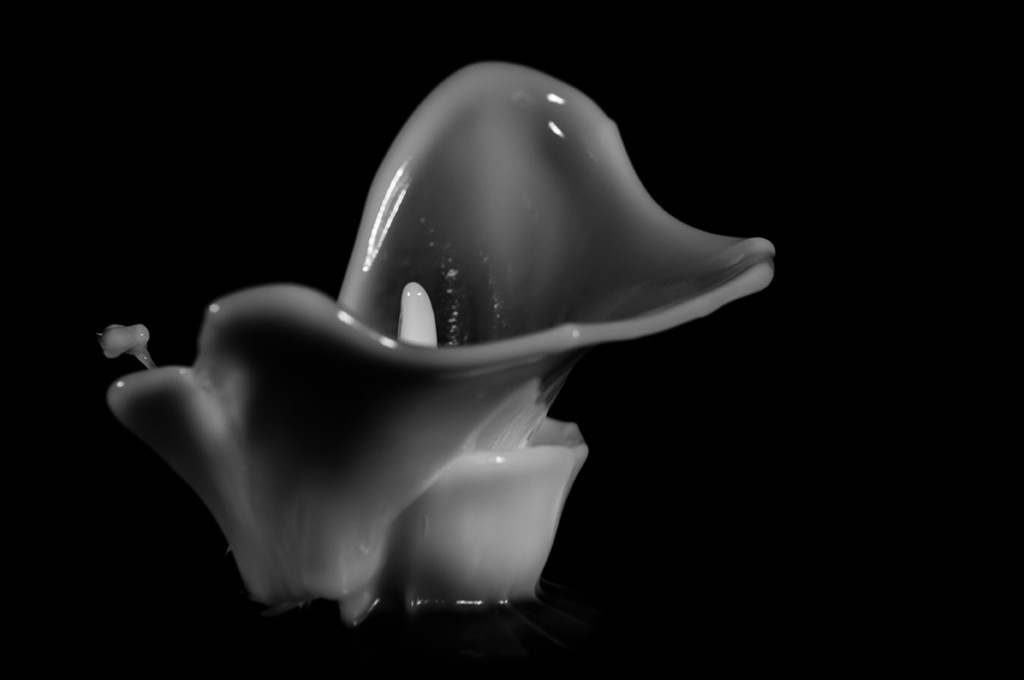 Cymatics high-speed camera photography tutorial - Photo Cherry